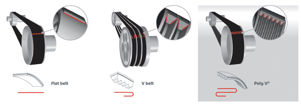 What do belt section designations mean for ribbed V-belts?