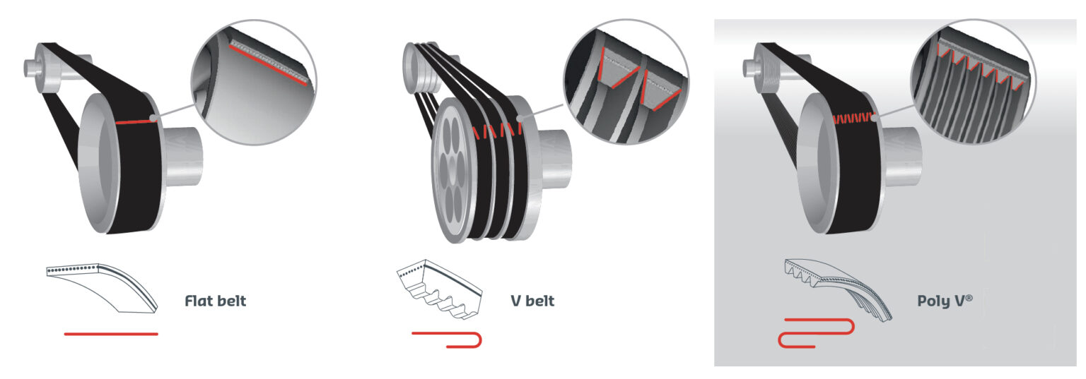 What do belt section designations mean for ribbed V-belts?